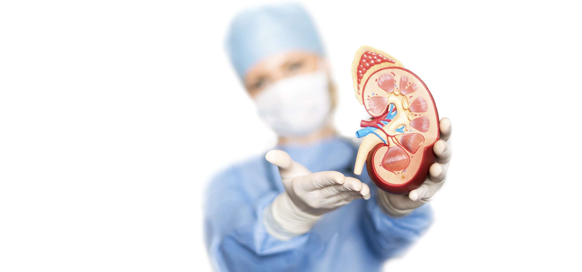 Dr. João Batista Zinato – Consultório médico especializado em Nefrologia